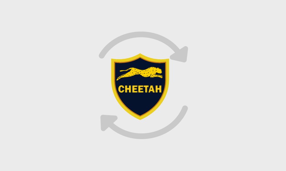 Cheetah Tool Pro Version V2025.09.27.164.0 is out! - GsmServer